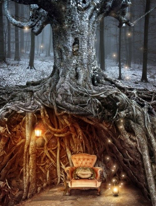 frog house | Eller's Artists