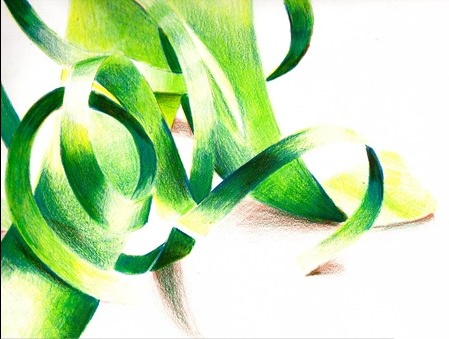 Sketchbook No.4: Ribbon Drawing | Eller's Artists