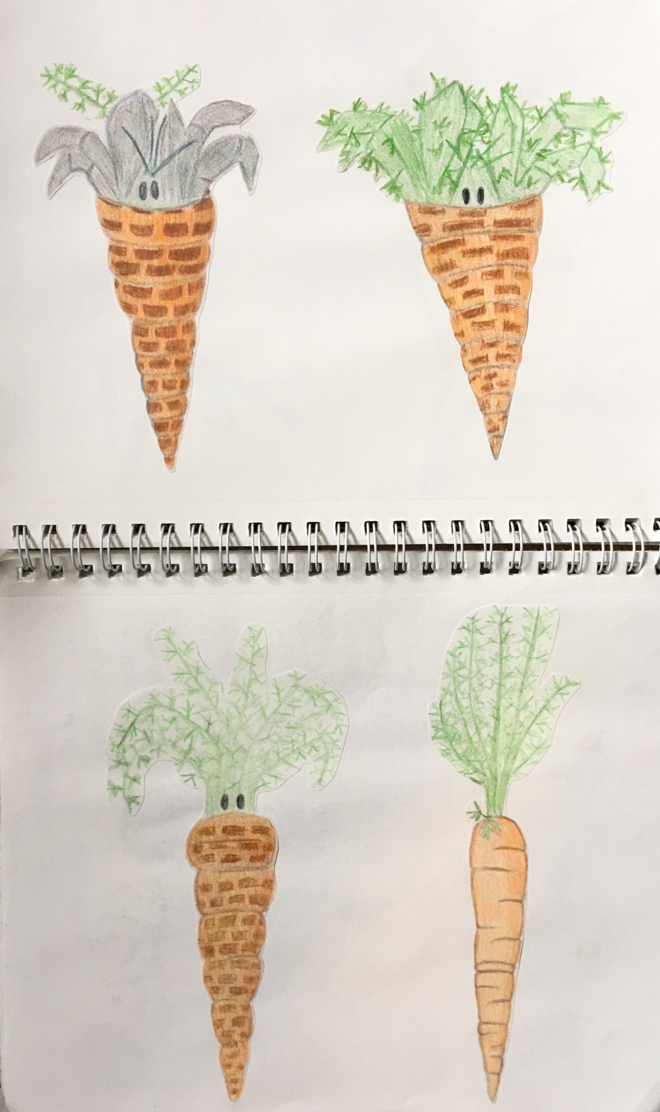 Metamorphosis 2 | Eller's Artists